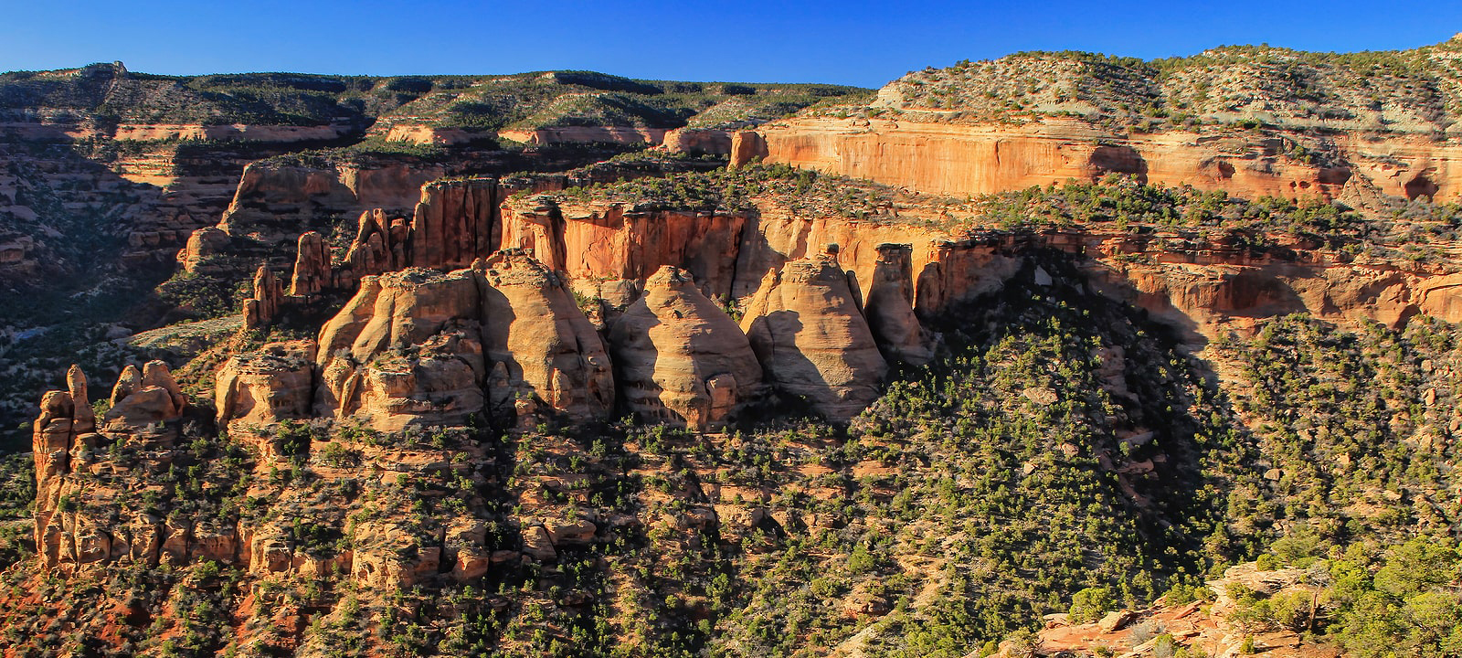 Grand Junction Property Management, Grand Junction Property Managers ...